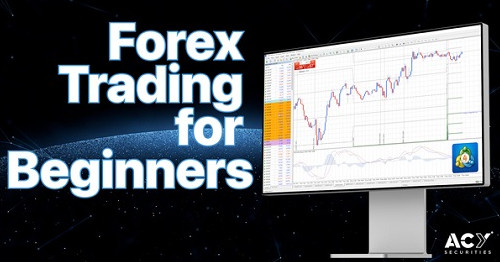Forex Trading For Beginners
